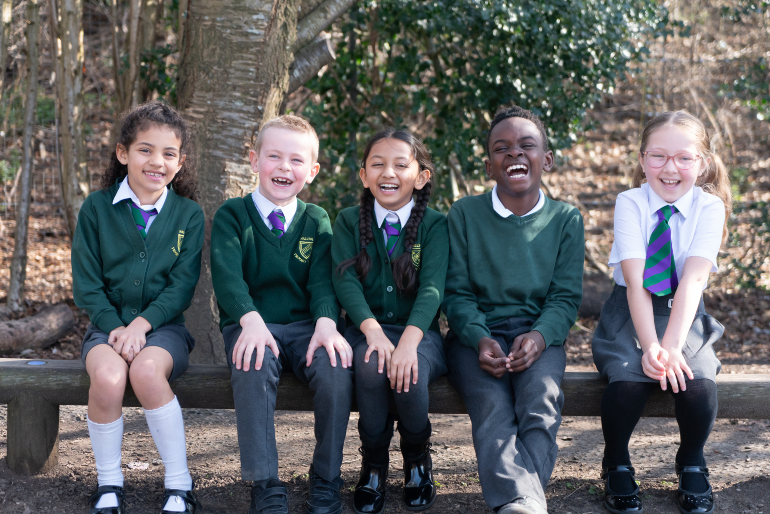 Halling Primary School